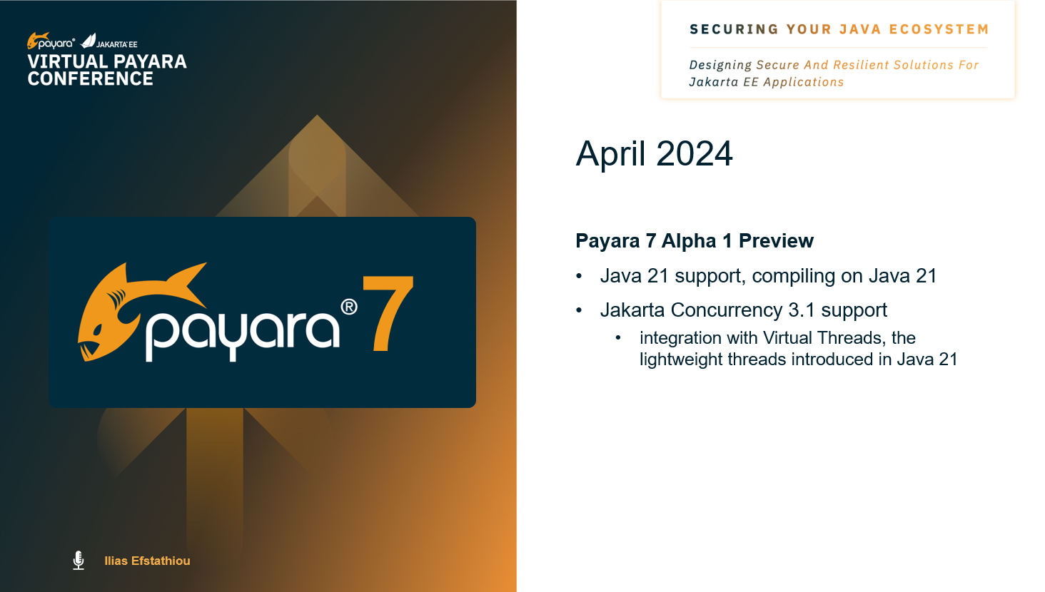 Payara Platform Roadmap Update - August 2024